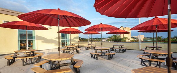 Perkopolis: Desert Palms Hotel and Suites