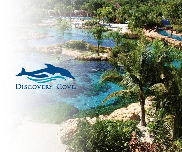 Perkopolis: Discovery Cove
