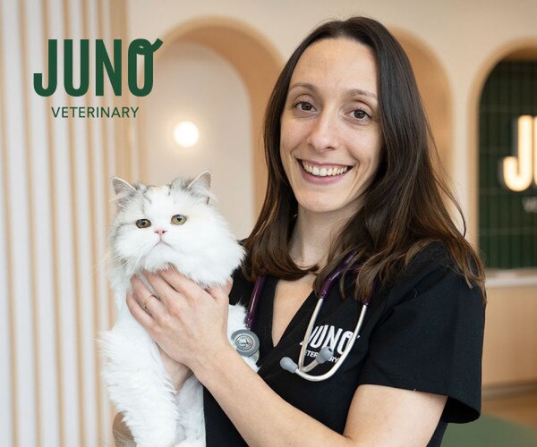 Perkopolis: Juno Veterinary