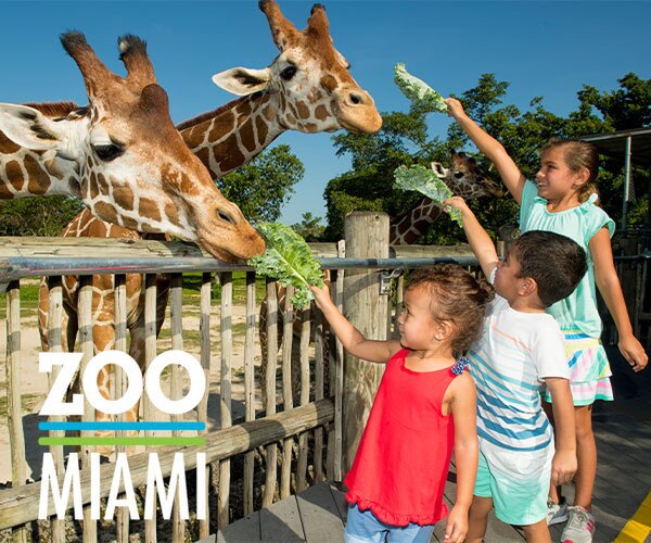 Perkopolis: Zoo Miami