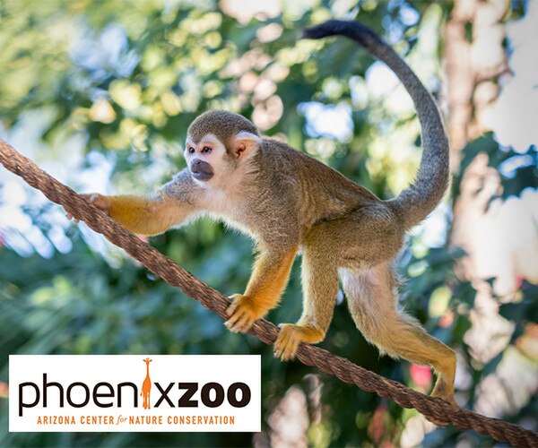Phoenix Zoo