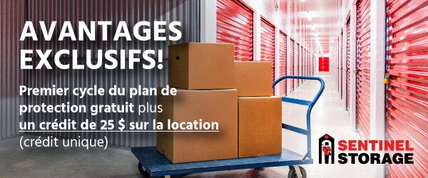 Perkopolis: Sentinel Storage