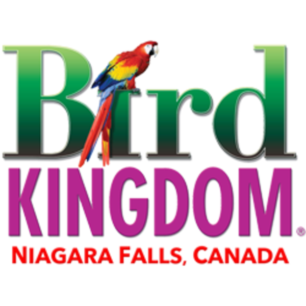 Perkopolis: Bird Kingdom