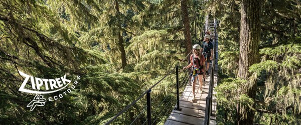 Perkopolis: Ziptrek Ecotours